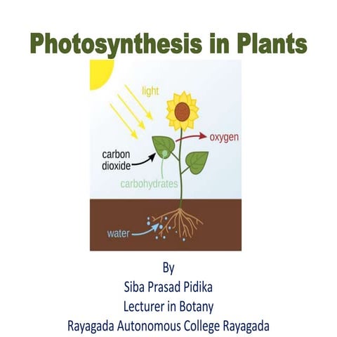 Photosynthesis class 10.pptx