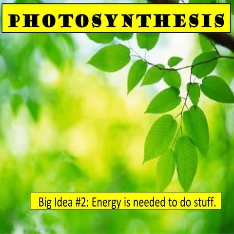 Photosynthesis intro | PPT