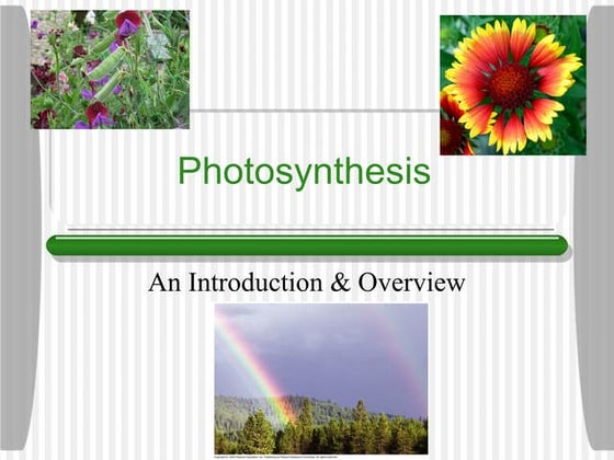 Photosynthesis | PPTX | Science