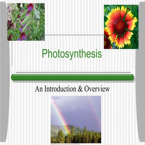 photosynthesisintroduction.pptx