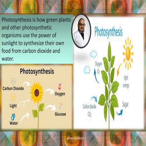 photosynthesis lecture1 introduction.pdf