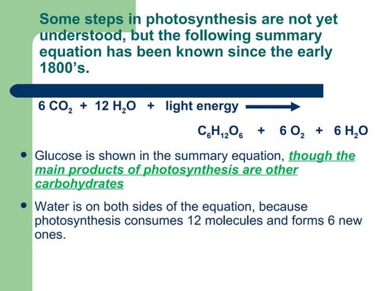 Photosynthesis Process for High School, Biology | PPT