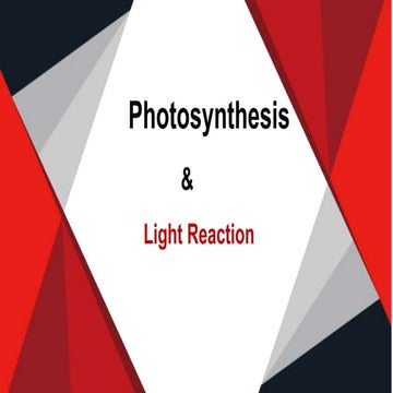 Photosynthesis process (light and dark reactions) | PPT