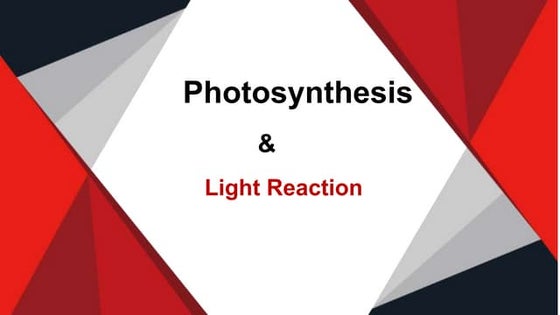 Light reaction of photosynthesis | PPTX | Chemistry | Science