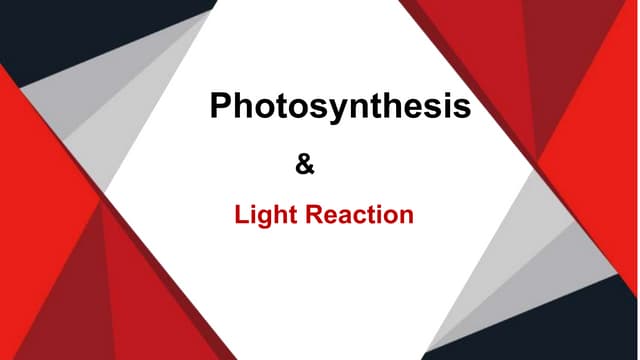 Light reaction of photosynthesis | PPTX
