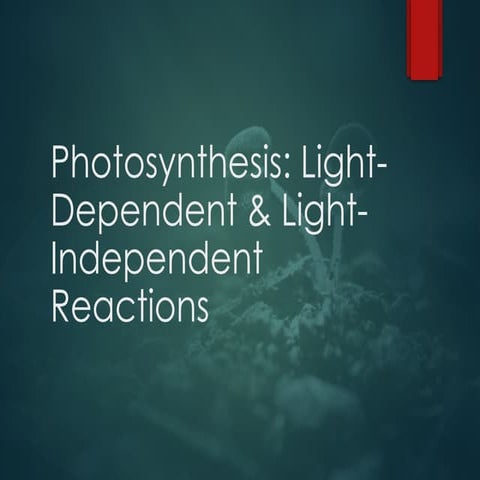 LIGHT DEPENDENT & LIGHT INDEPENDENT REACTIONS | PPTX