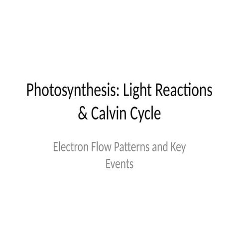 Photosynthesis_Light_Reactions_Calvin_Cycle.pptx
