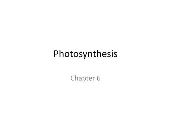 Photosynthesis light dependent reactions | PPTX | Chemistry | Science