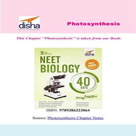 Photosynthesis Chapter/Notes | PDF