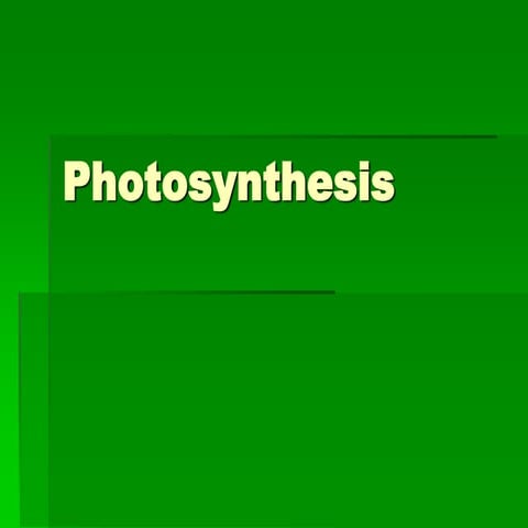 Photosynthesis part 1 | PPT