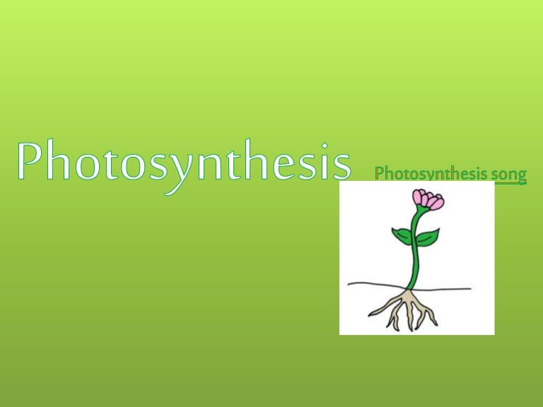 Photosynthesis powerpoint 1