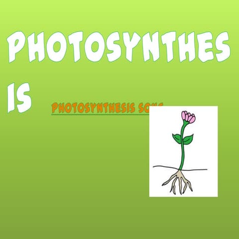 Photosynthesis powerpoint 1 | PPT