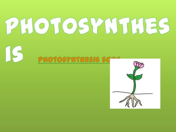 Photosynthesis.ppt