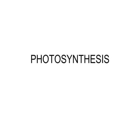 Photosynthesis power point | PPT