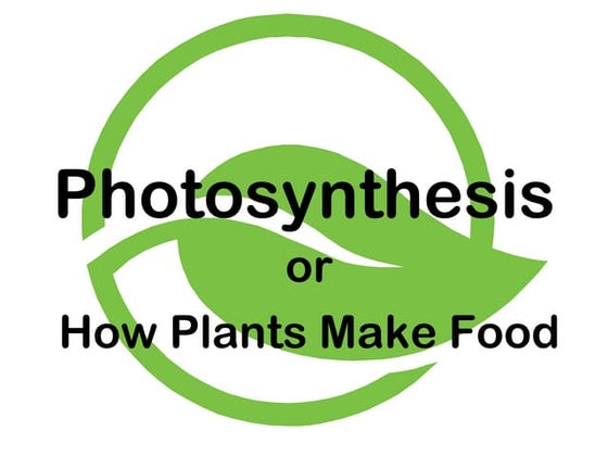 Photosynthesis(2) | PPT