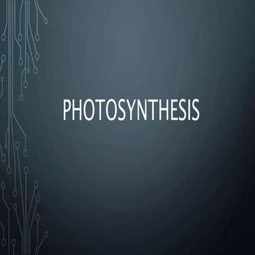 Photosynthesis ppt | PPTX | Biological Sciences | Science