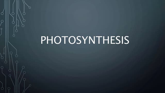 Photosynthesis (class 10) | PPTX