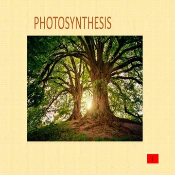 PHOTOSYNTHESIS ppt.pptx