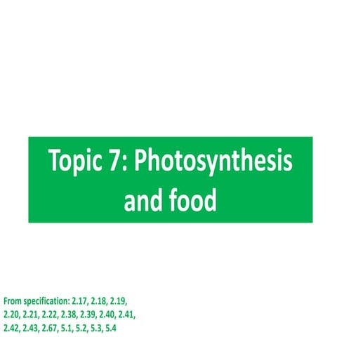 Photosynthesis PPT (1).pptx