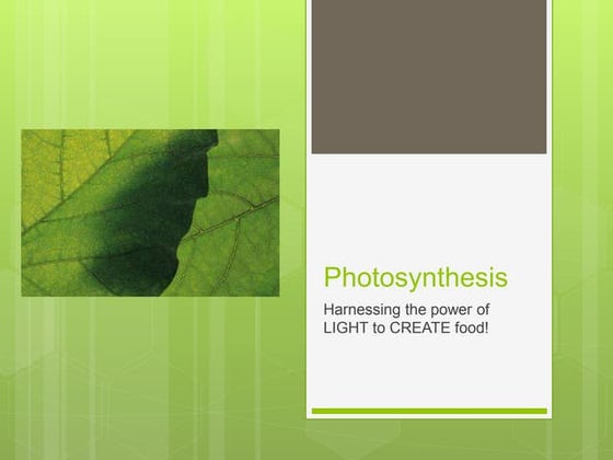 photosynthesisintroduction-Grade 9 Science.ppt | Chemistry | Science