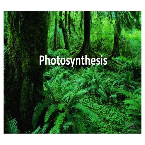 Photosynthesis Presentation | PPTX