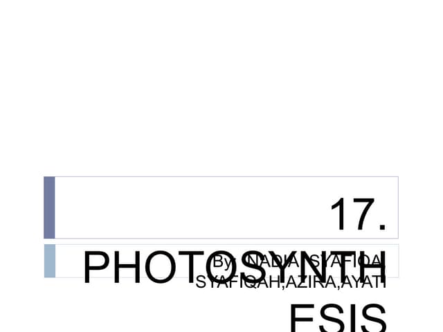 Chapter 13 photosynthesis in higher plants | PPT