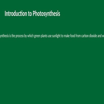 Photosynthesis_Presentation.pptx@2025pdf | PPT