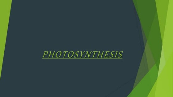 photosynthesisintroduction-Grade 9 Science.ppt | Chemistry | Science