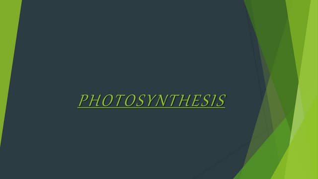 8th Grade Science: Photosynthesis Slides | PDF
