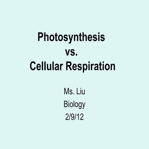 Photosynthesis respiration liu | PPT