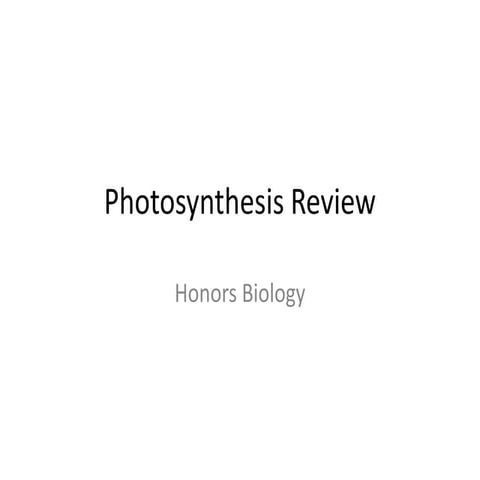 Photosynthesis review !! | PPTX