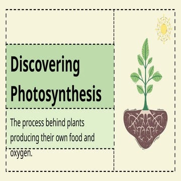 Photosynthesis Science Presentation in Green Beige Illustrative Style ...