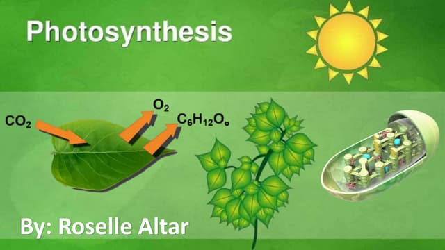 Photosynthesis | PPT