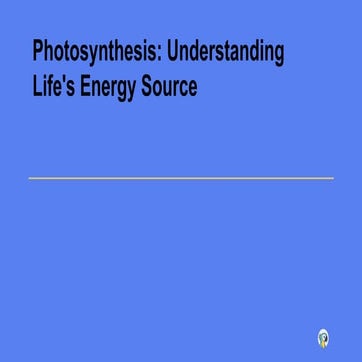 8th Grade Science: Photosynthesis Slides | PDF