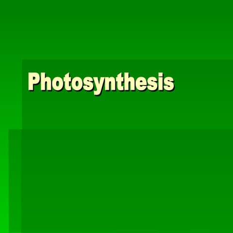 Photosynthesis | PPT | Chemistry | Science