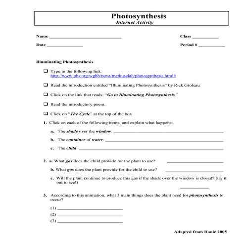 Photosynthesis Webquest | PDF