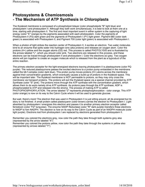 Ch. 10-1 to 10-3 Guided Reading | PDF