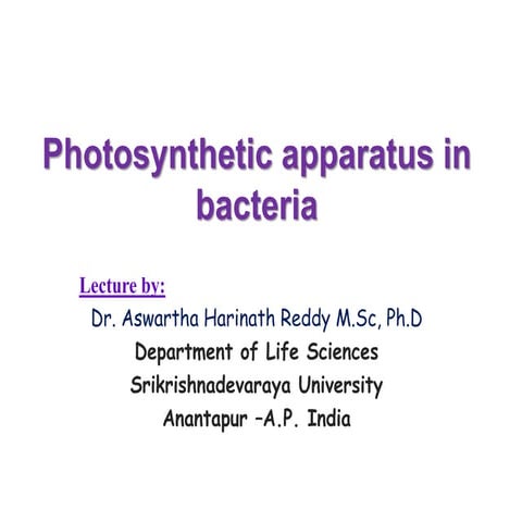 Photosynthetic apparatus in bacteria | PPTX