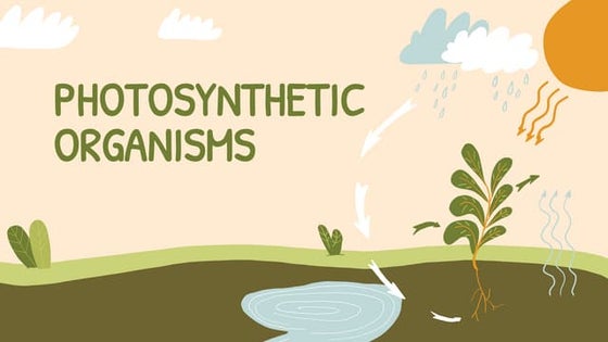 Chemoheterotrophs and photosynthetic microorganism | PPTX | Science