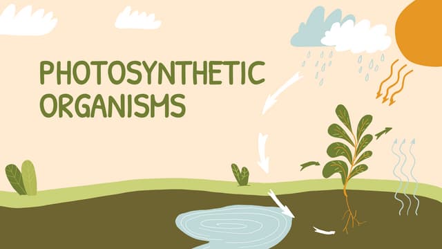 PHOTOSYNTHETIC BACTERIA (OXYGENIC AND ANOXYGENIC) | PPTX