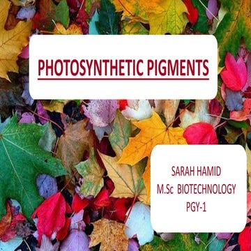 Role of Pigments in Photosynthesis | PPT