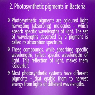 Role of Pigments in Photosynthesis | PPT