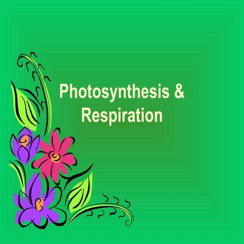 Photosynthesis and Respiration 2 | PPT