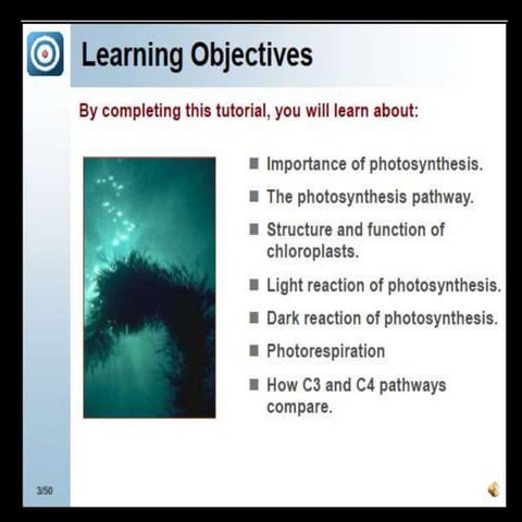 Photosynthesis | PPT