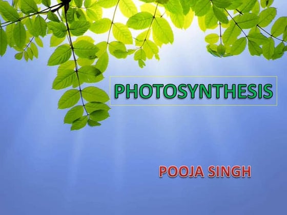 Photosynthesis light dependent reactions | PPTX | Chemistry | Science