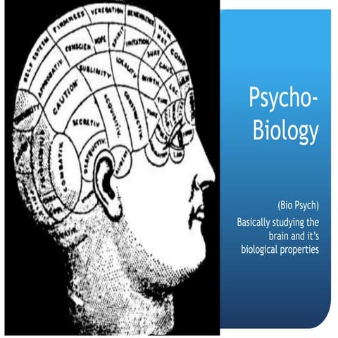 BioPsych | PPT