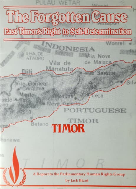 Hearing on East Timor the santa cruz massacre (1991) | PDF