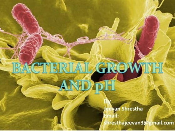 Calculating bacterial growth | PDF