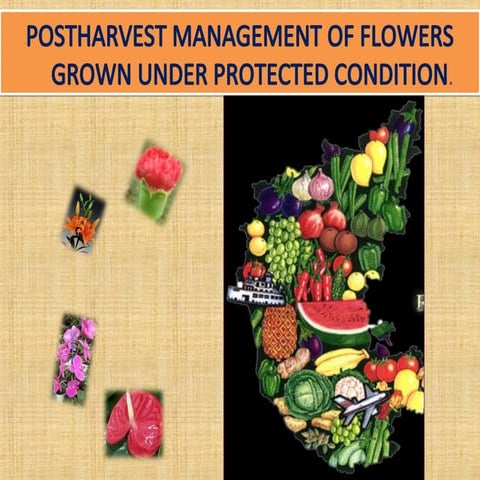 Post harvested management of flowers under protected cultivation .ppt