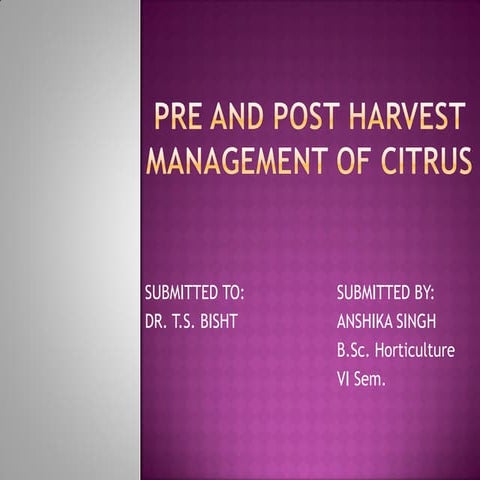 PHT CITRUS ppt.pdf